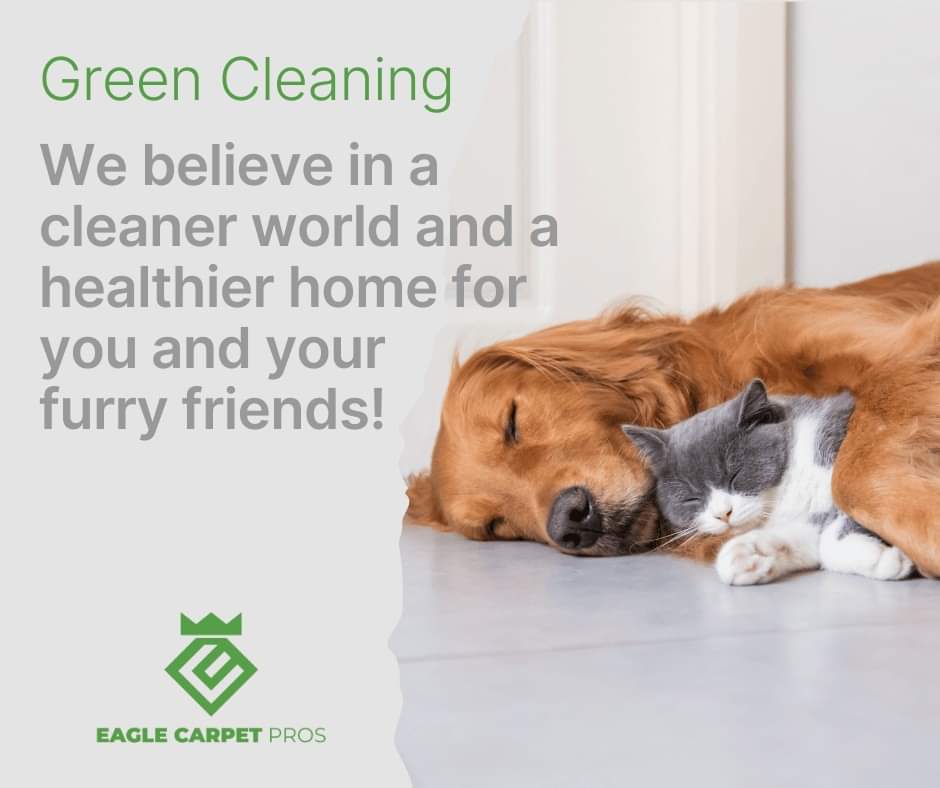 Contact Us - Eagle Carpet Pros - Eagle Idaho